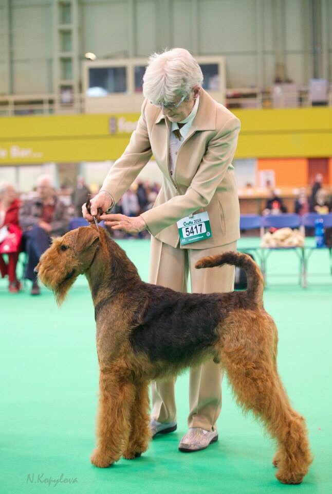 Valpar - AIREDALE.SE